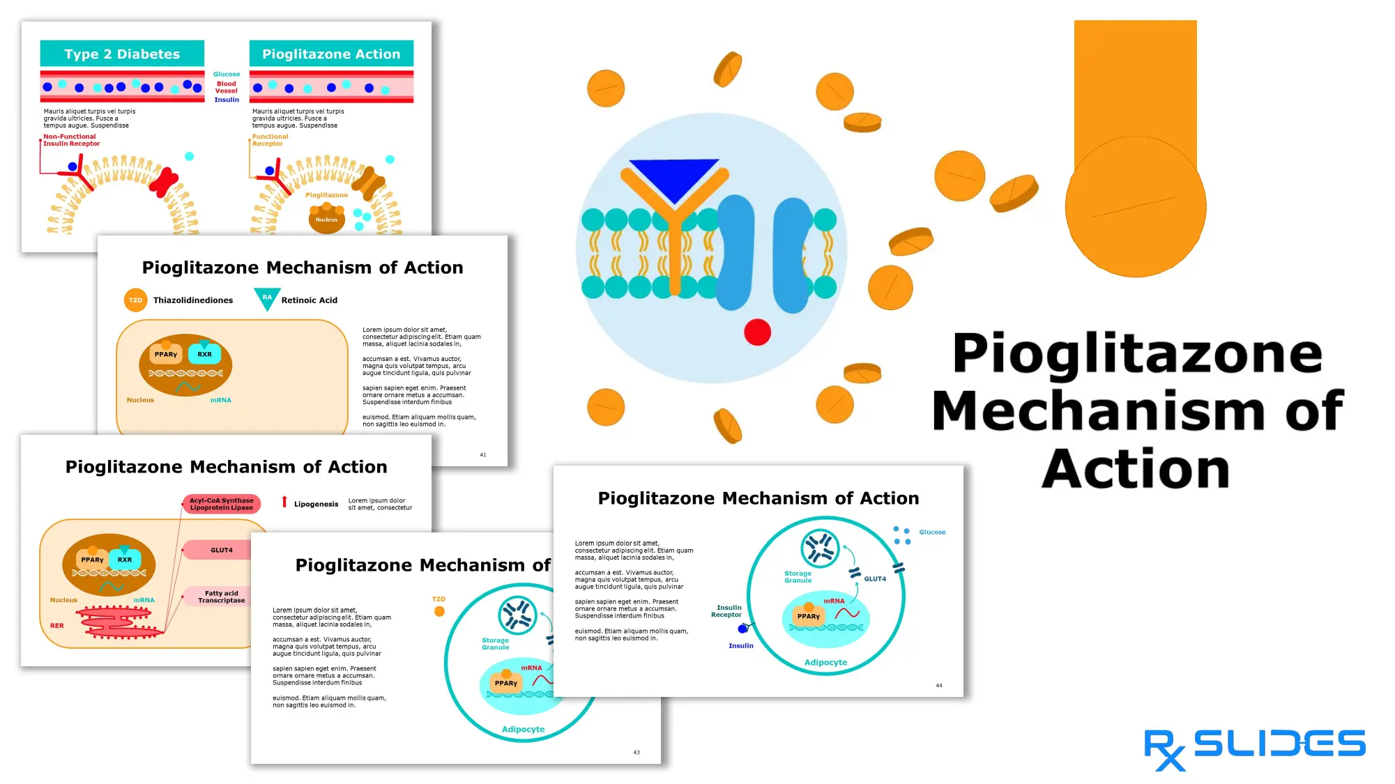 Download Pioglitazone PowerPoint Template| RxSlides