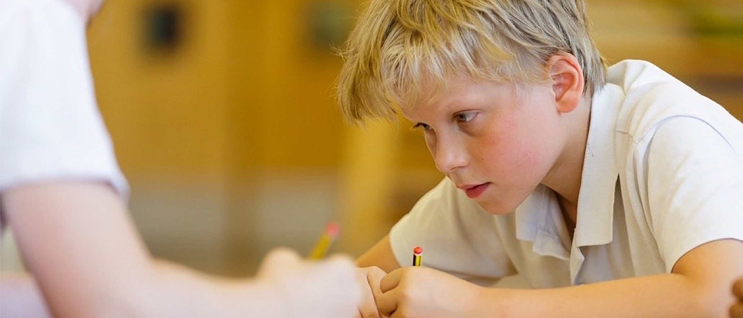 School Development Plan | Holbeach Primary