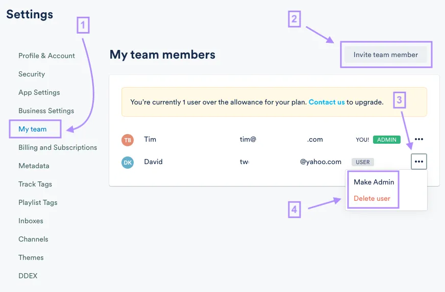 Customizing Account Settings & Branding