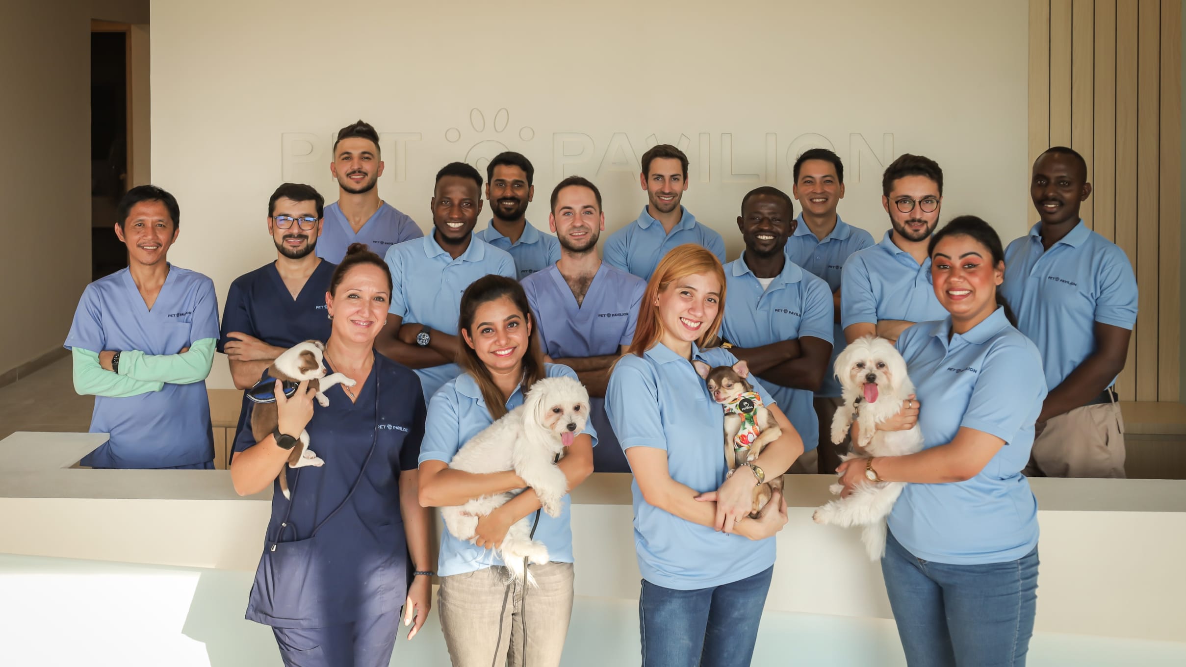 Pet Pavilion Has Simplified the Challenge of Owning an Untrained Dog ...