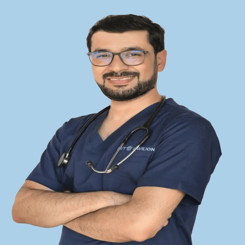 Dr Atiq Khan | Pet Pavilion Veterinary Clinic Abu Dhabi