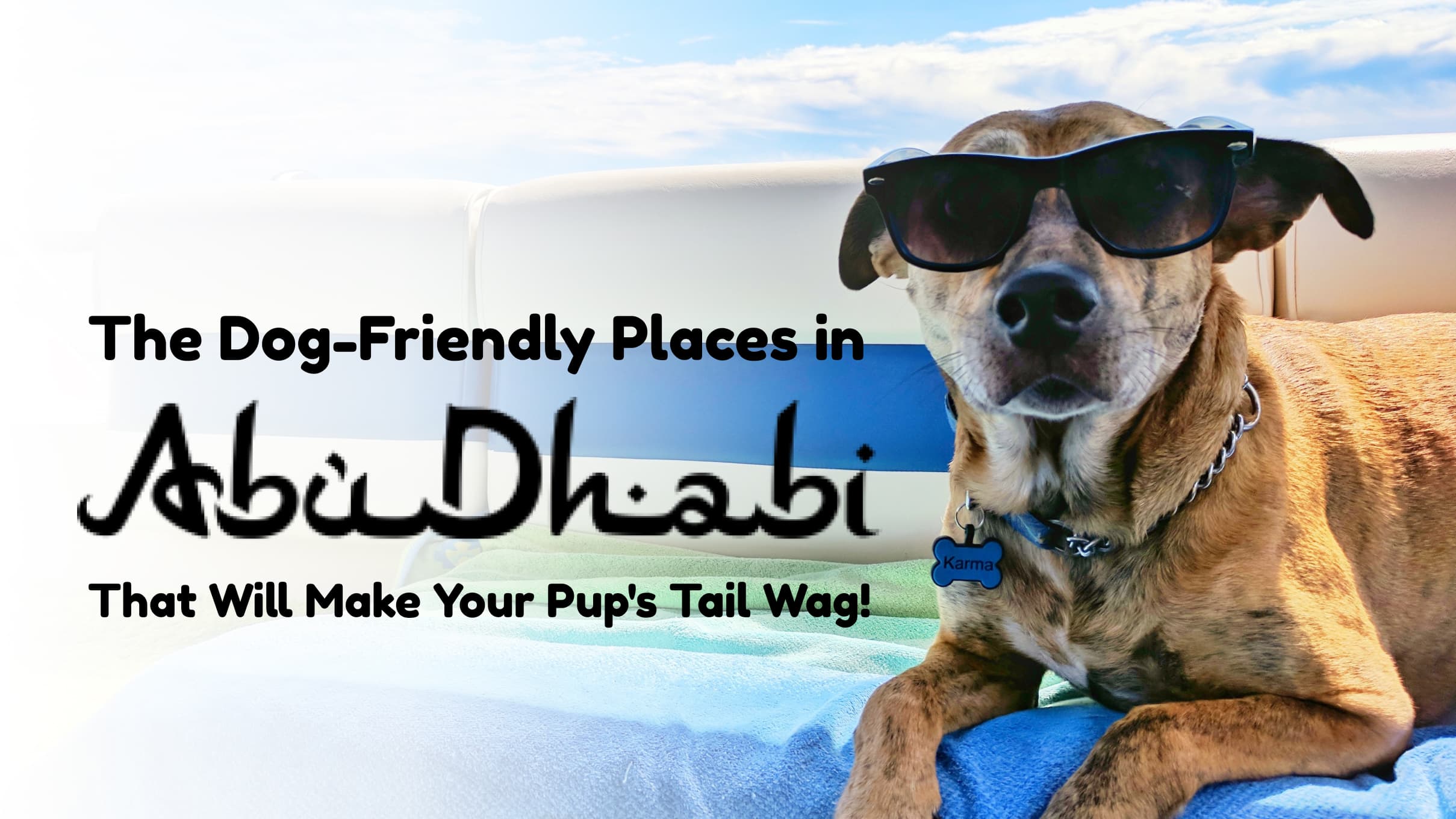 The Dog-Friendly Places in Abu Dhabi That Will Make Your Pup's Tail Wag ...