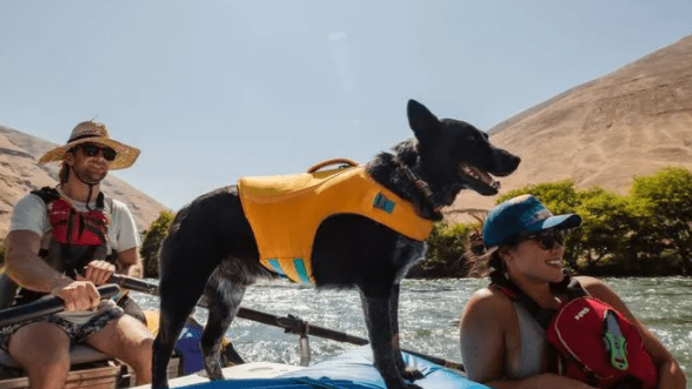 Why the Ruffwear Float Coat™ is the Only Dog Life Jacket You'll Ever ...