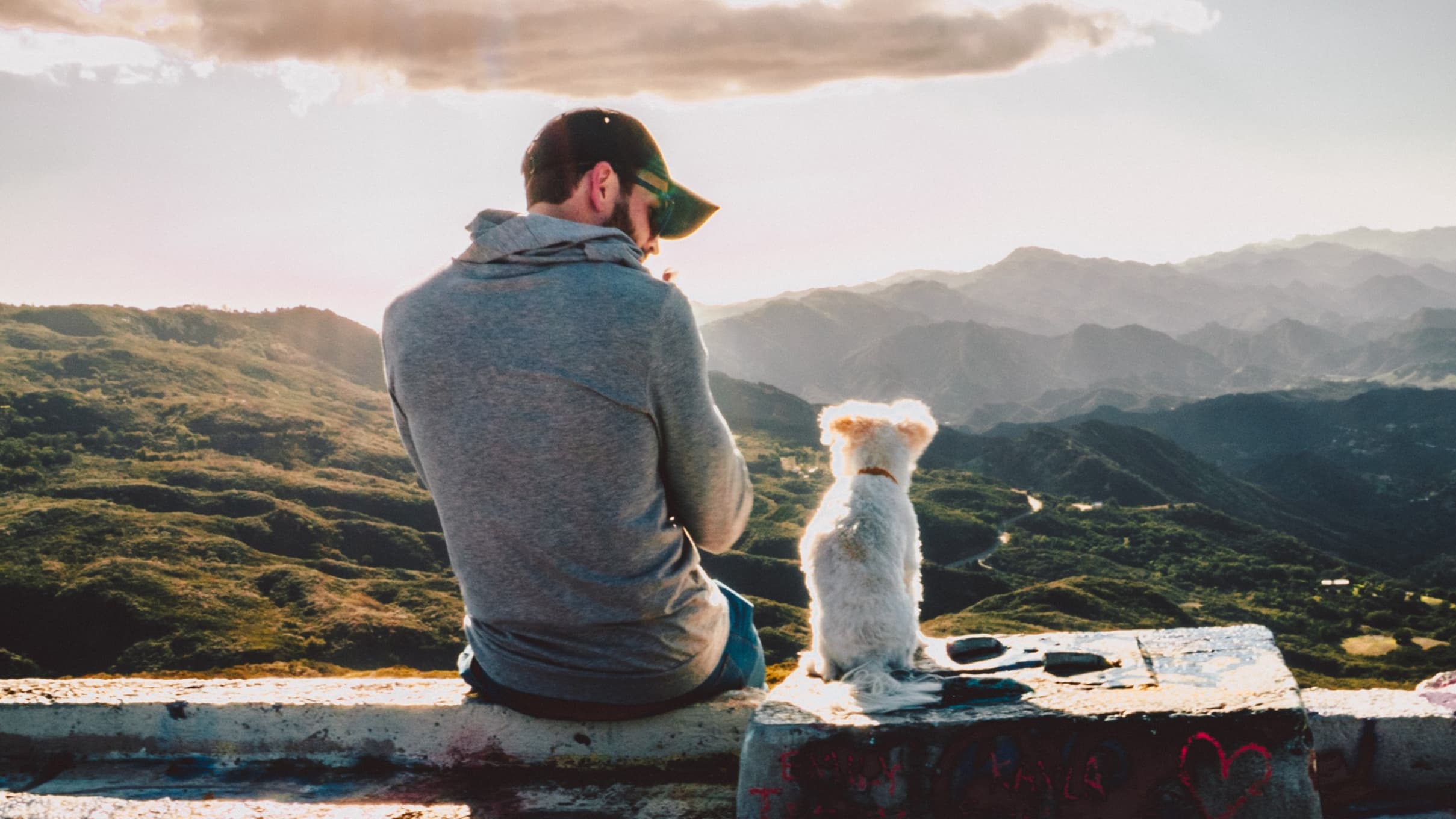 Building Trust with Your Furry Friend: A Dog Owner's Step-by-Step Guide ...