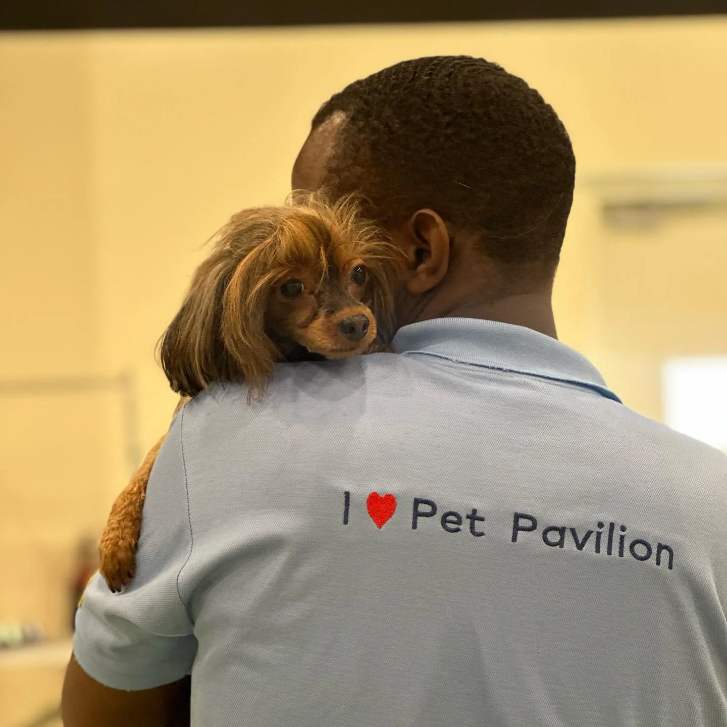 Contact | Pet Pavilion Veterinary Clinic Abu Dhabi