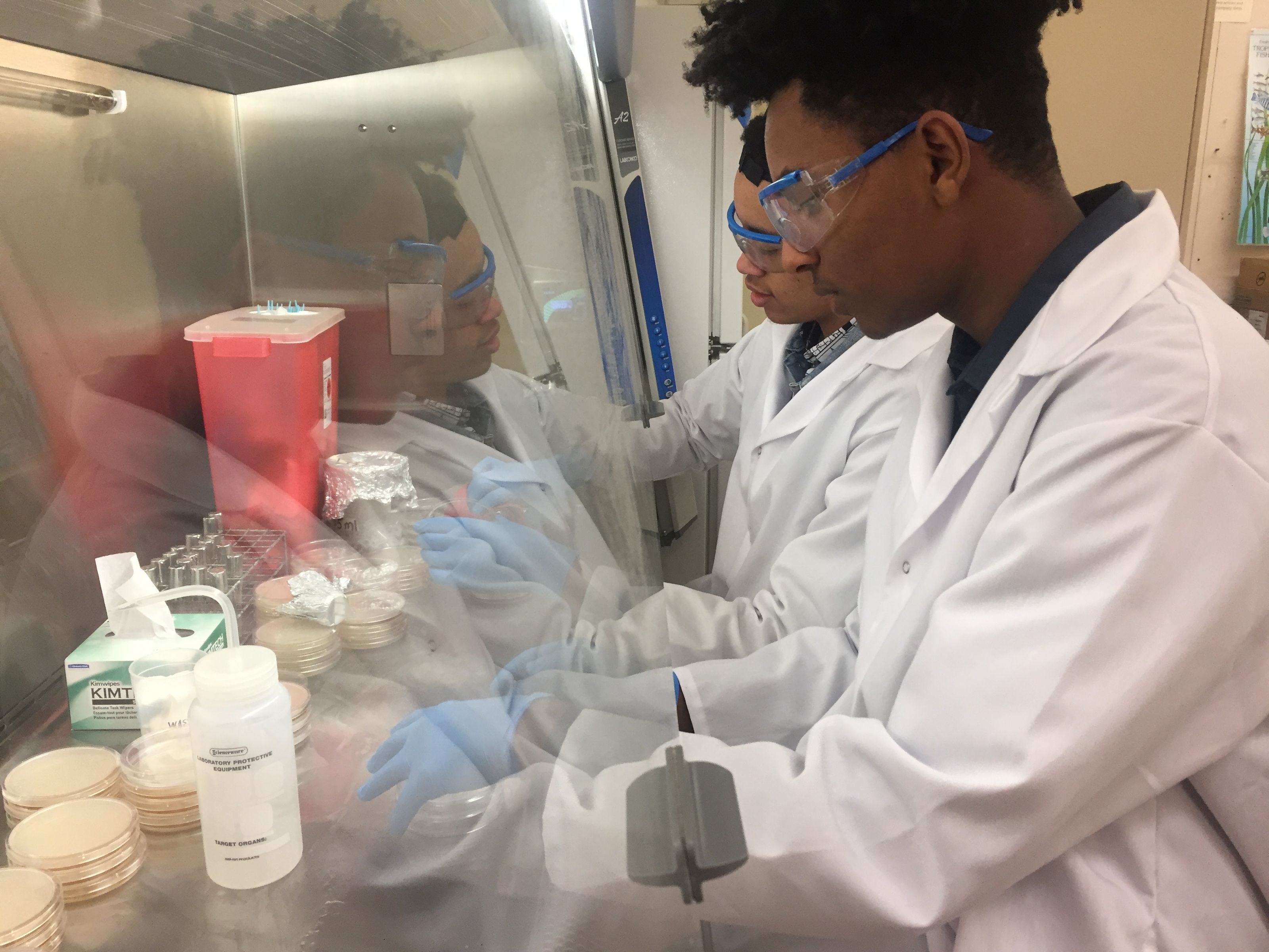 Biotech Partners | Building Careers, Transforming Lives