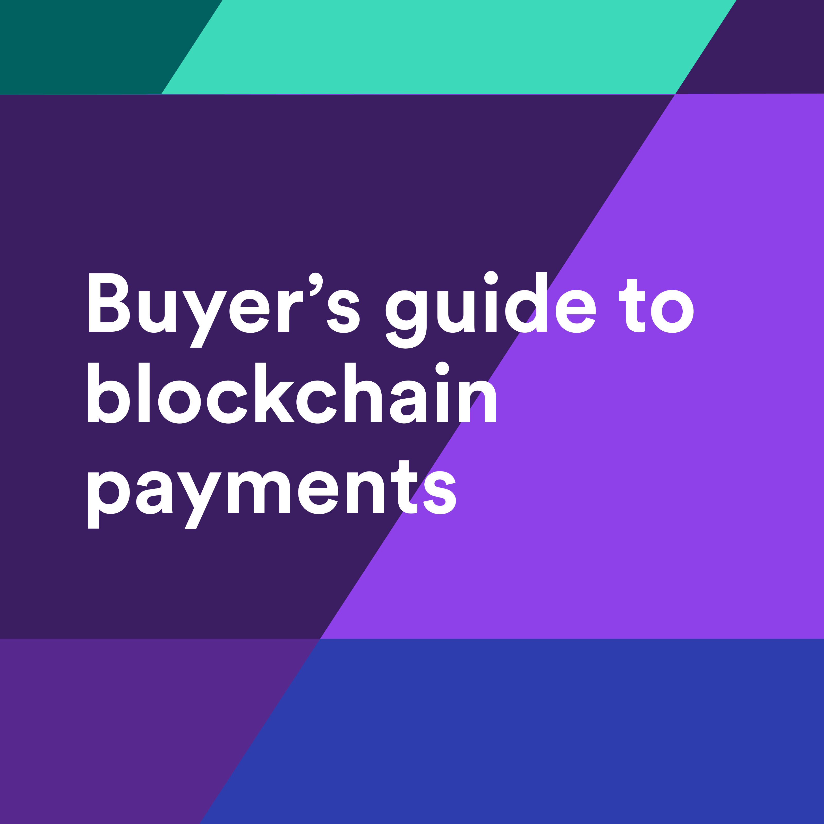 Blockchain payments: a buyer’s guide | BVNK Blog