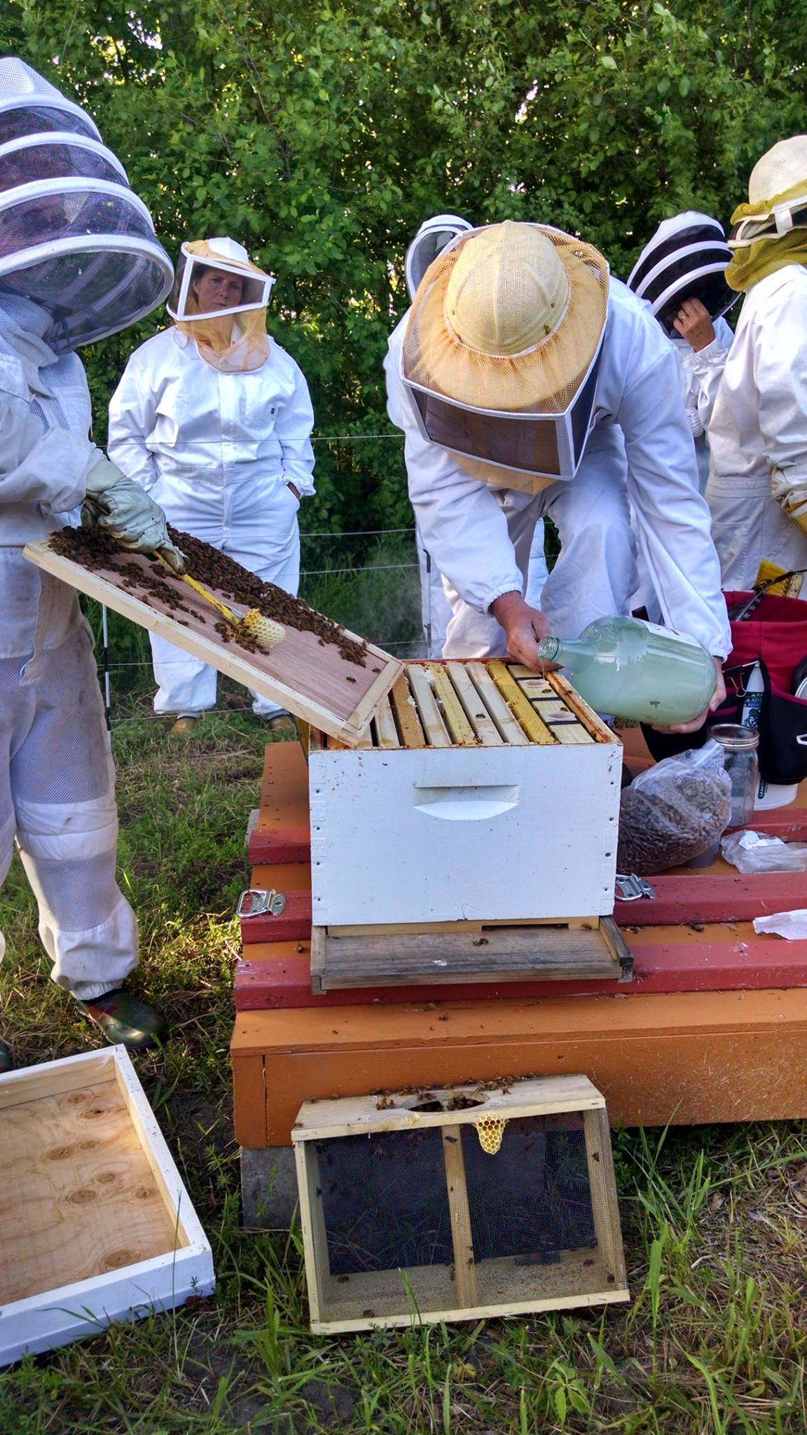 Programs 🐝 New Hampshire Beekeepers Association