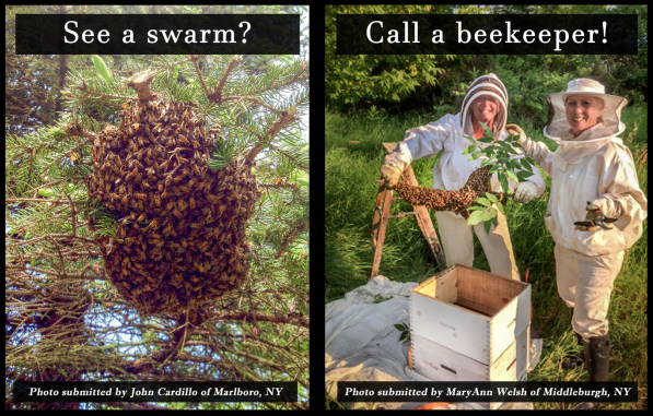 Resources 🐝 New Hampshire Beekeepers Association