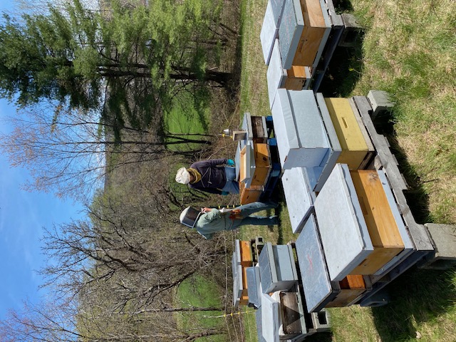 EAS News 🐝 New Hampshire Beekeepers Association