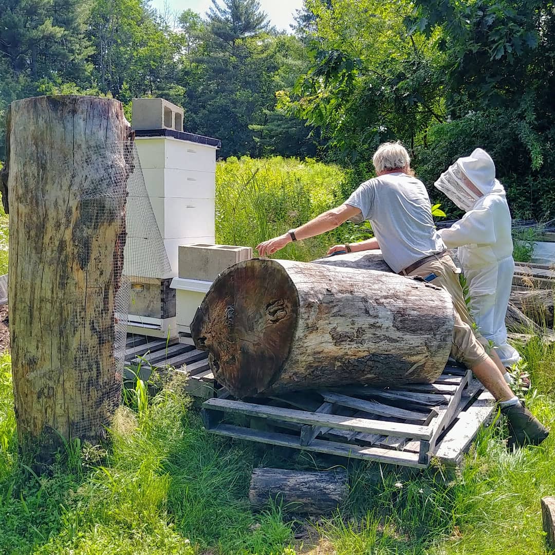 Sustainable Beekeeping, Skills and Knowledge List 🐝 New Hampshire ...