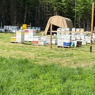 Resources 🐝 New Hampshire Beekeepers Association