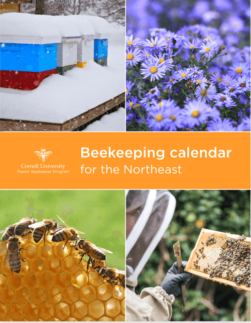 Beekeeping Calendar for the Northeast 🐝 New Hampshire Beekeepers ...