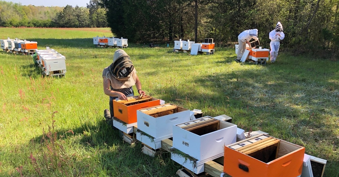 New Hampshire Beekeepers Association 🐝