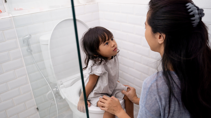 Potty Training Consultant