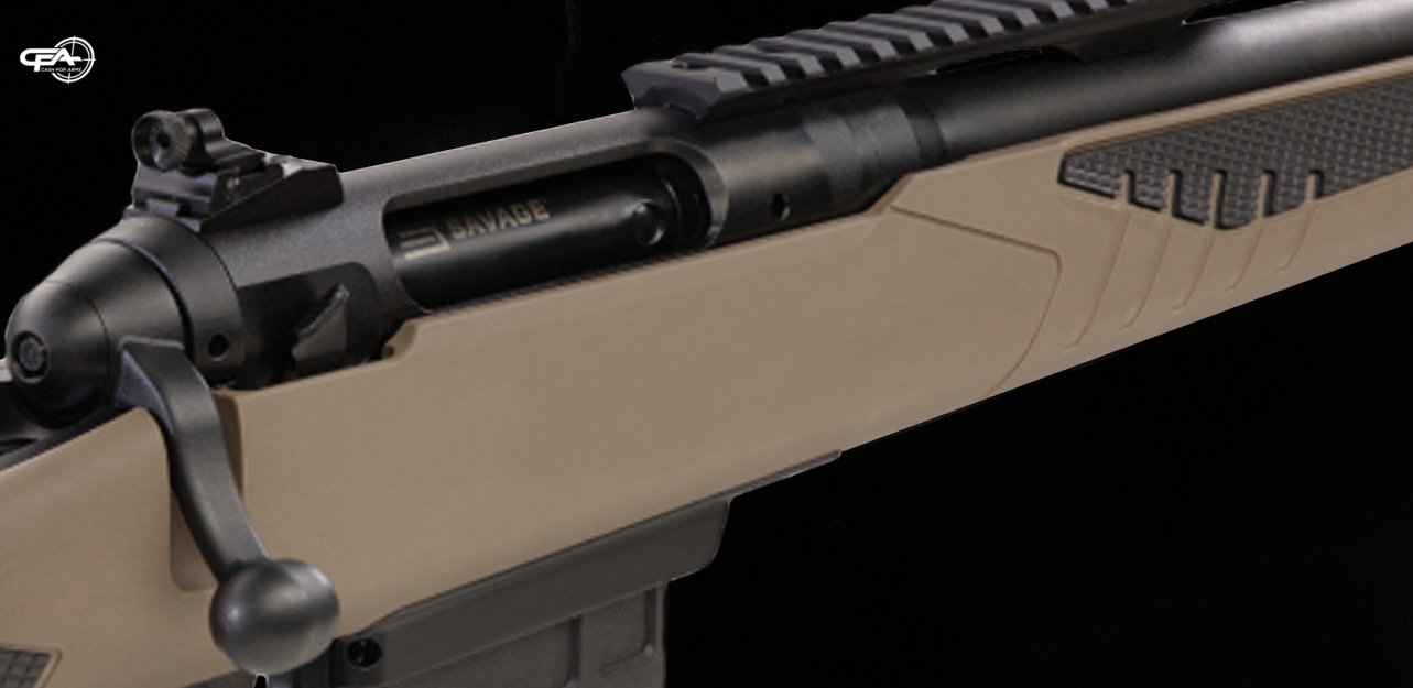 How Much is a Savage 10/110 Currently Worth?