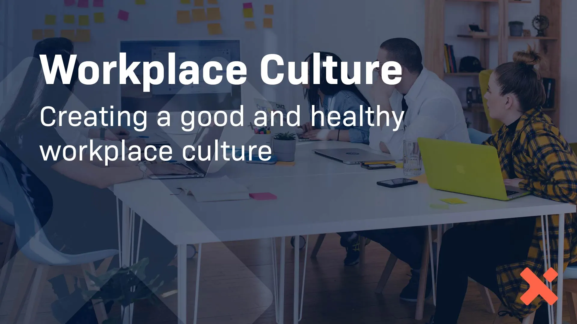What is Workplace Culture? - HumanX