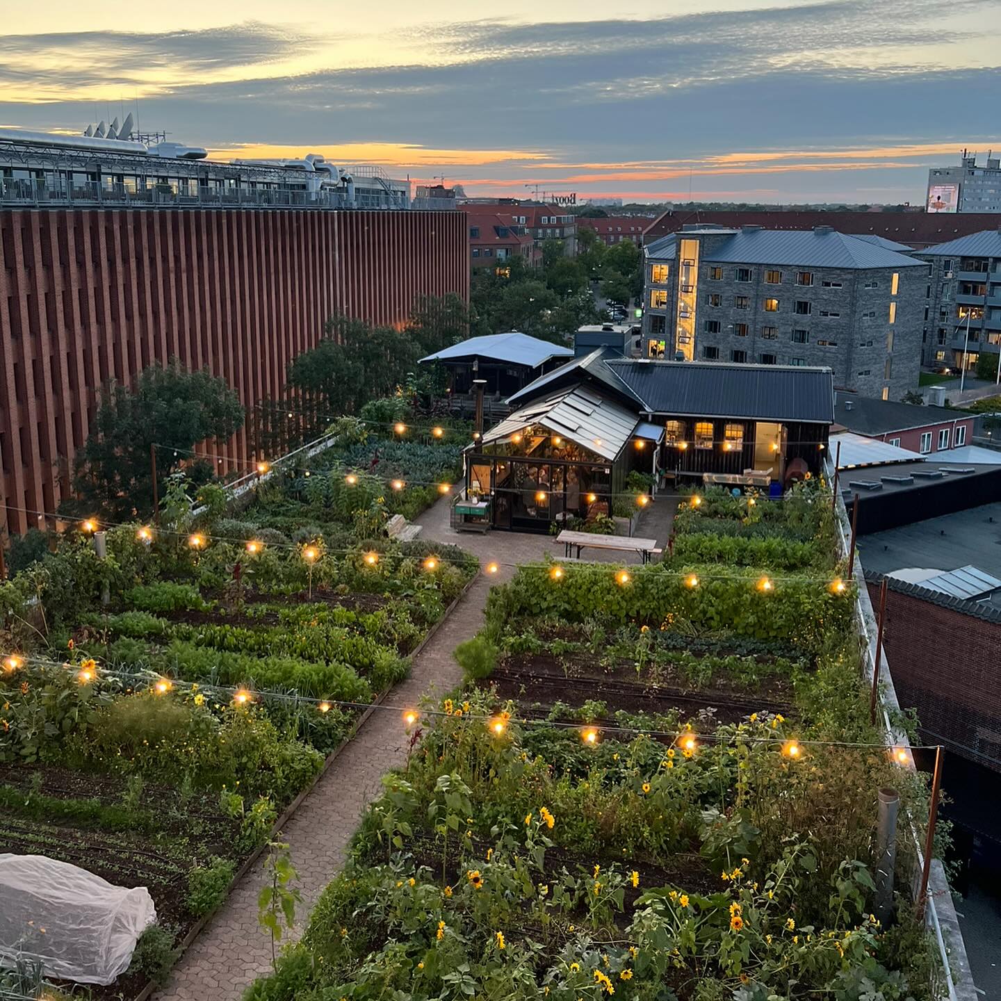 Gro Spiseri uppe på taket | Galore