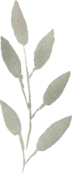 Timberlee Farm » The Destination for Weddings in Wilmington, NC