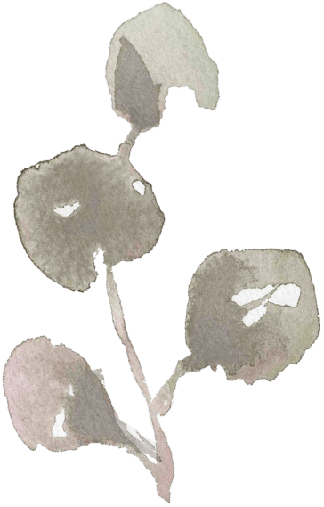 Timberlee Farm » The Destination for Weddings in Wilmington, NC