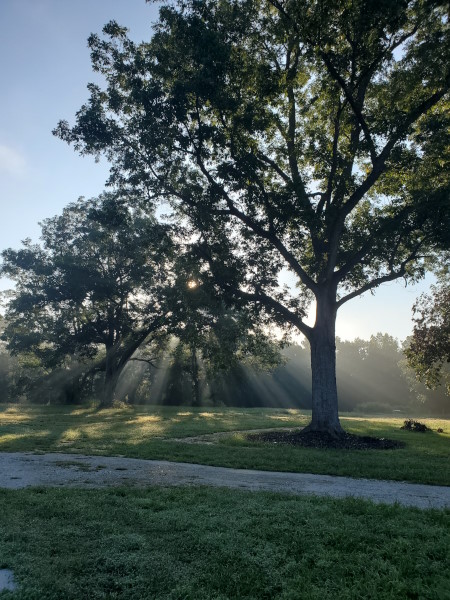 Timberlee Farm » About Our Wedding Venue | Wilmington, NC