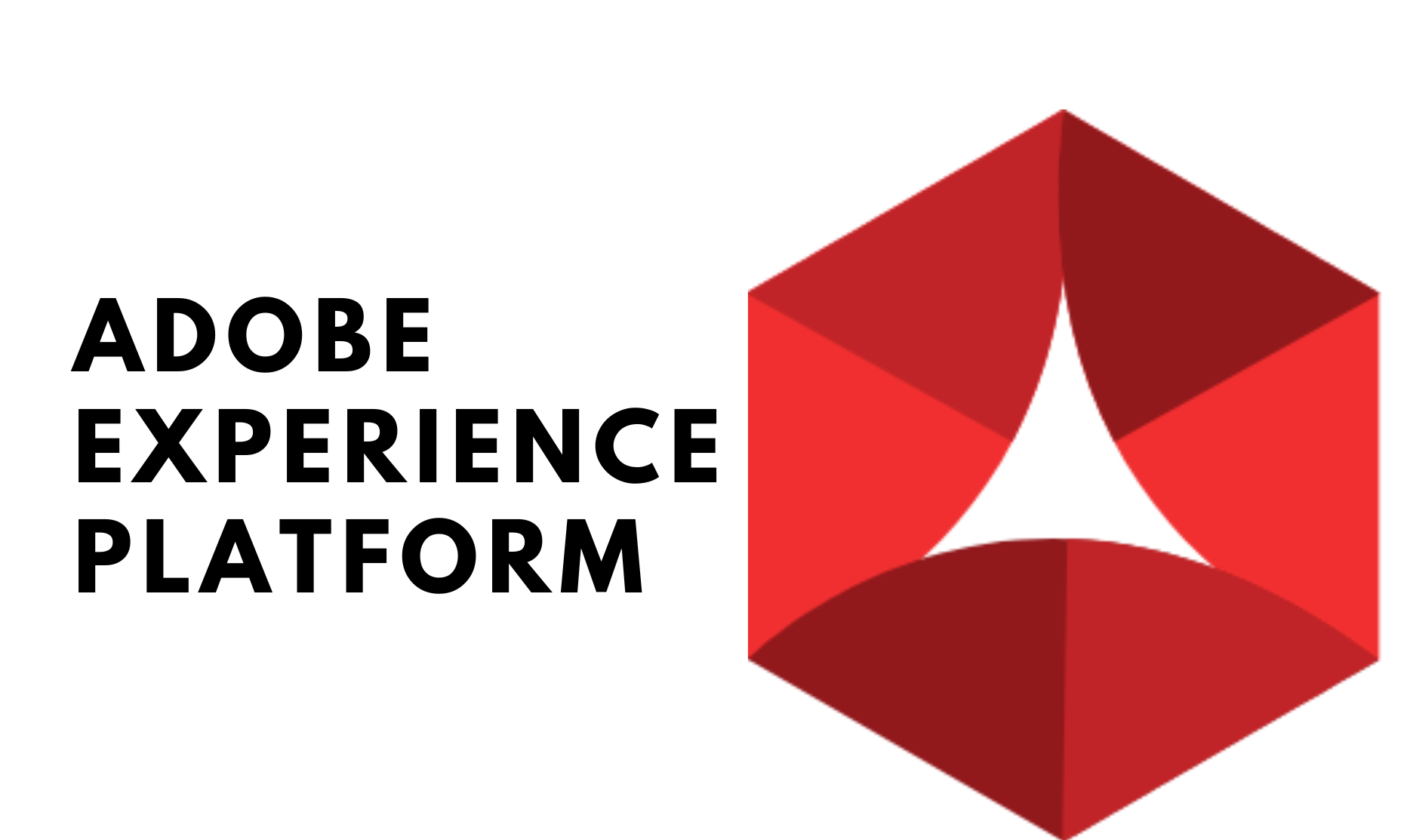 Integration: Adobe Experience Platform (CDP) and AdFixus