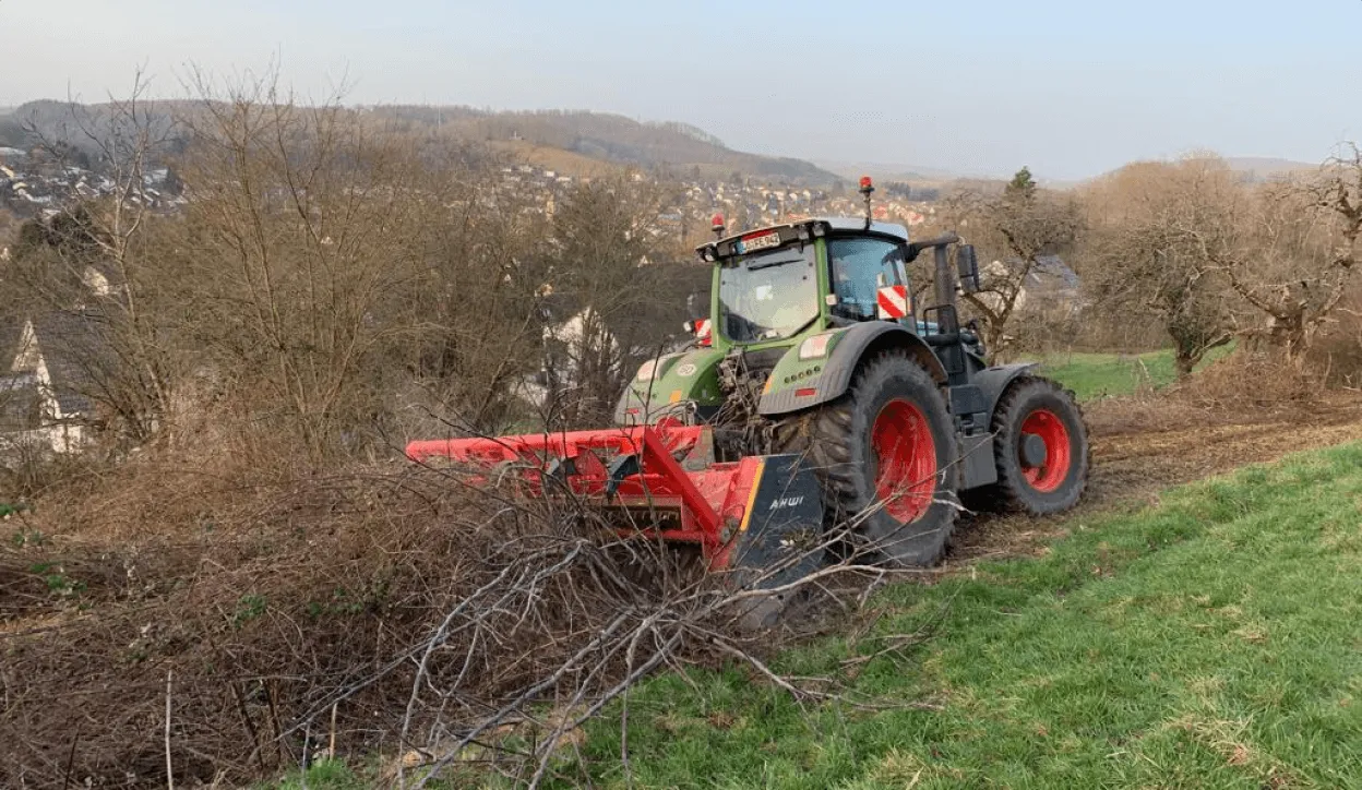 Bühler GmbH Lörrach | Kompost- & Erdenprodukte, Umweltdienstleistungen, Mietpark