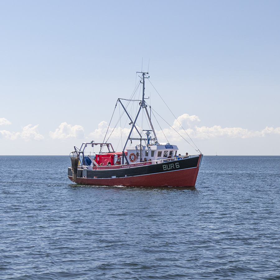 Inselfischer Fehmarn