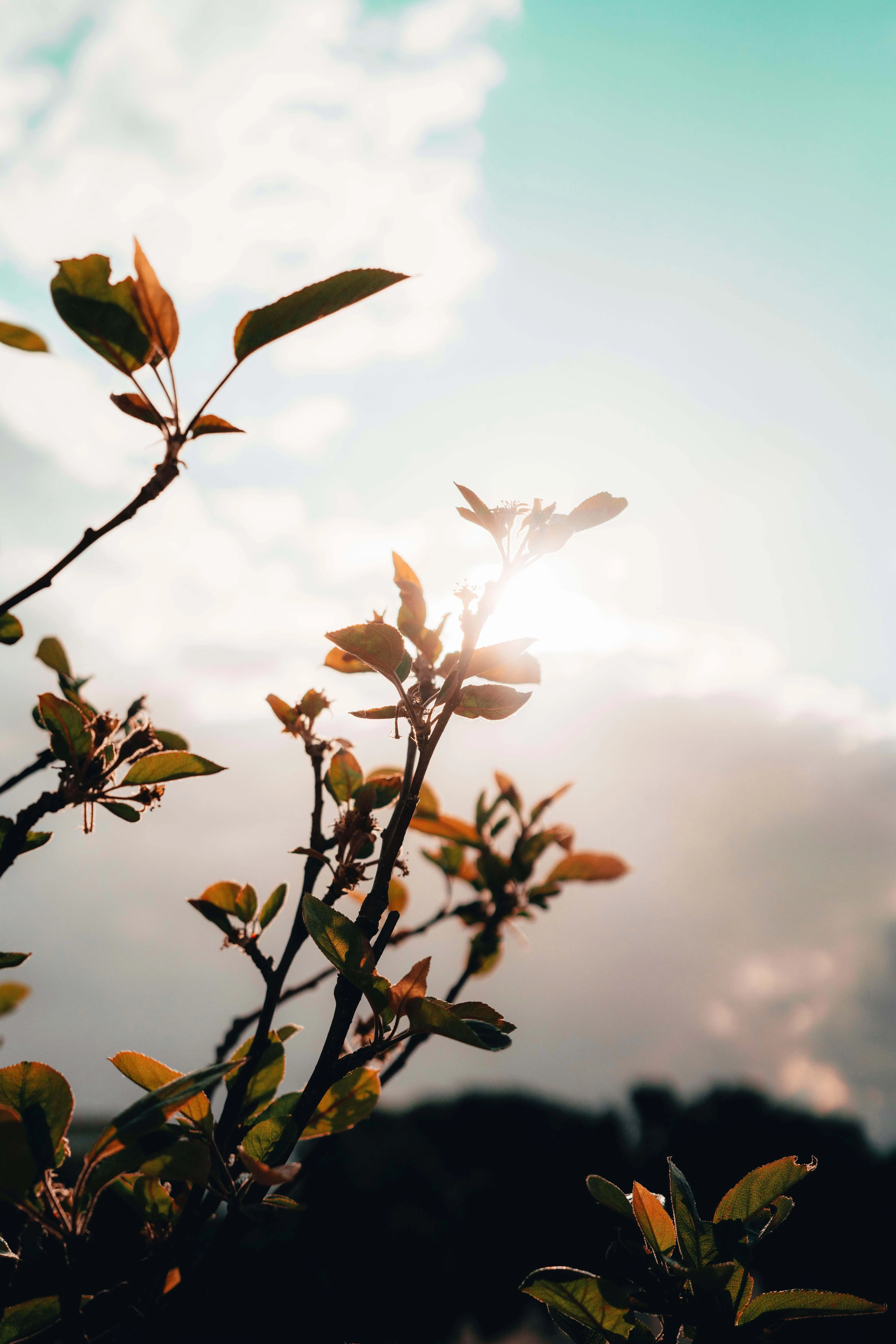 Glimmer Therapy: More Than Just a Therapist