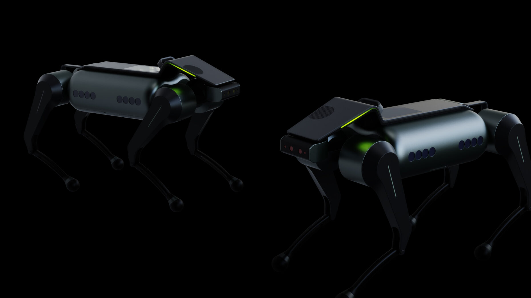 Koda Robot Dog | Whipsaw