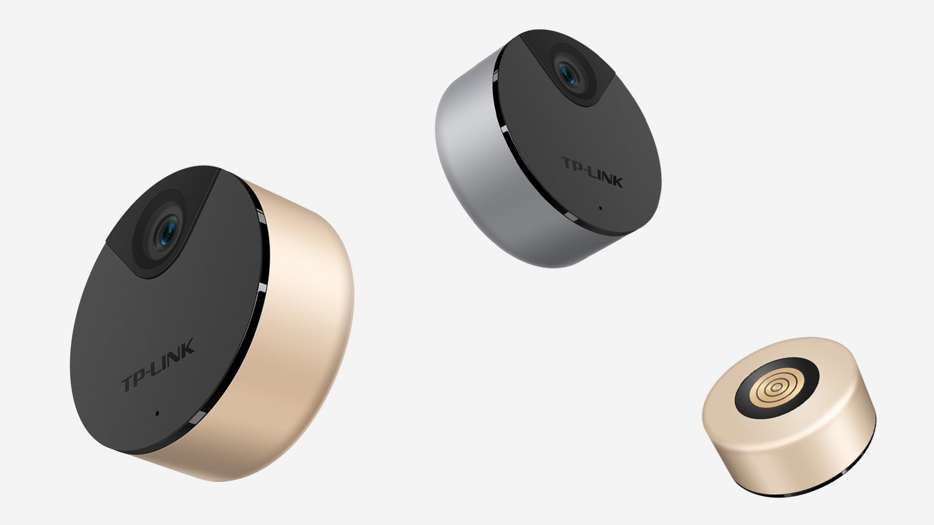 TP-Link Quarter Camera | Whipsaw