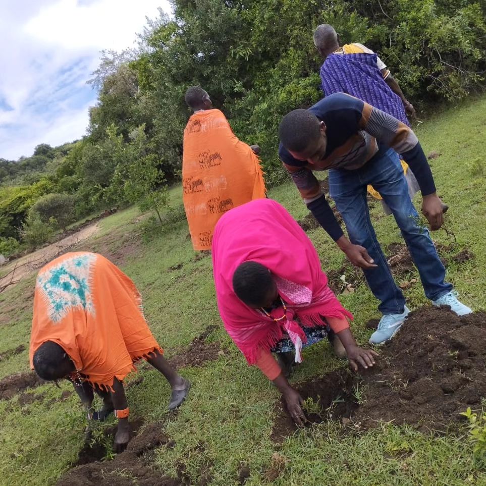 Kilima Camp's Commitment to Conservation: Joining Hands on Kenya's ...