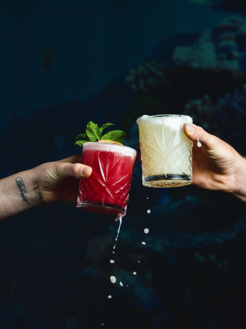 Ephemera - Nos Restaurants