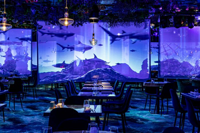 Under The Sea - Ephemera