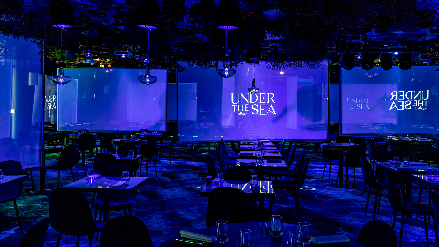 Under The Sea - Ephemera