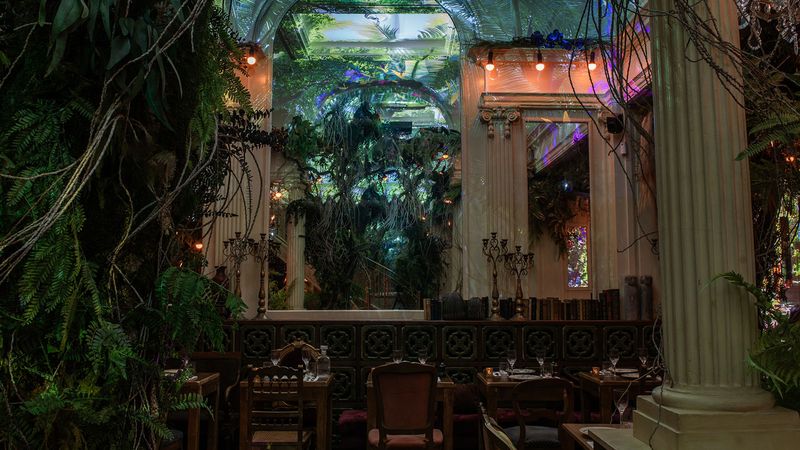 Jungle Palace - Ephemera