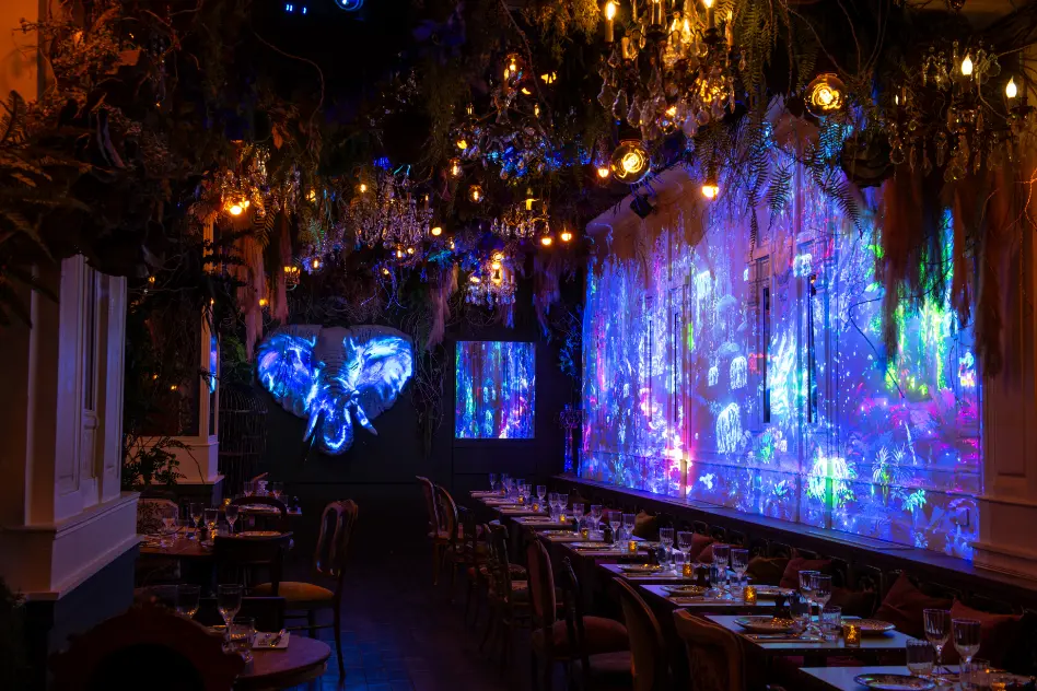 Jungle Palace - Ephemera