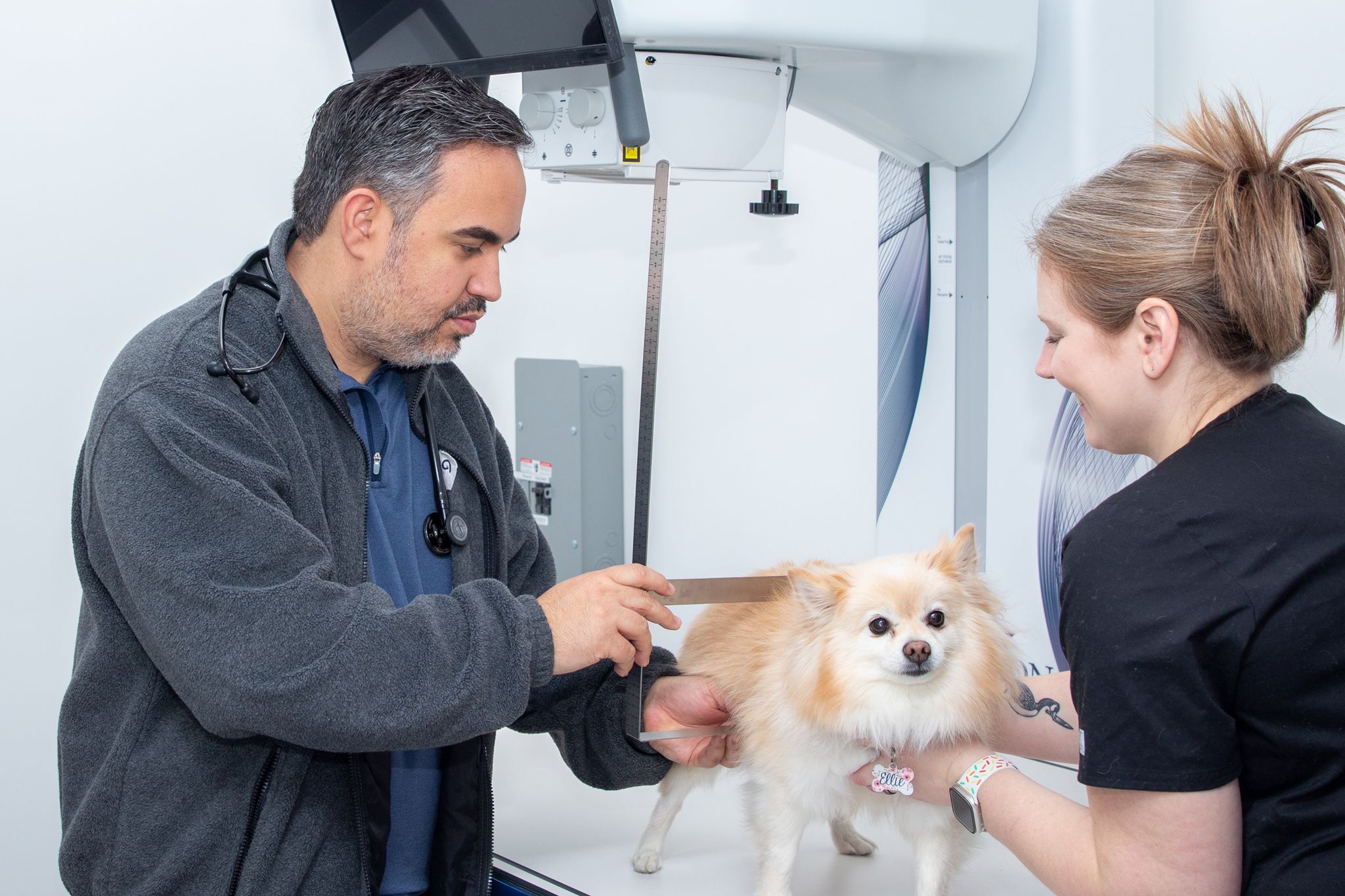 Pets4Life | Veterinary Hospital, Grooming, Retail, and More