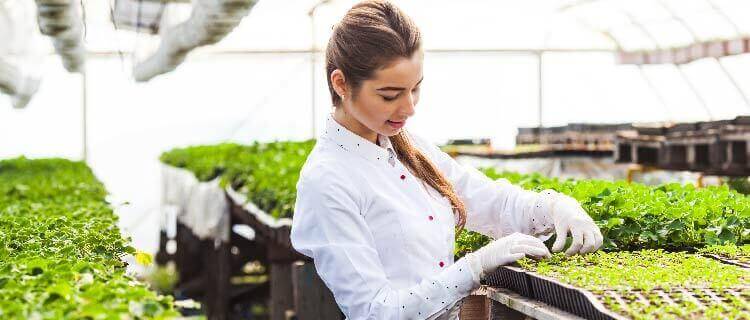 International Environmental Internship | Asia Internship Program