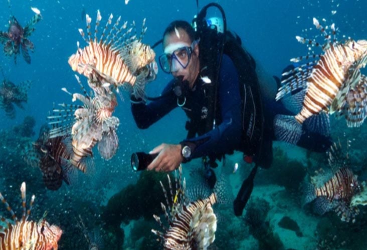 What To Do During Your Gap Year?