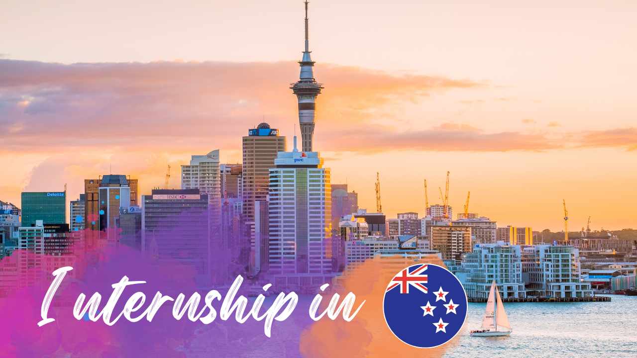 Internship in New Zealand | AIP International Program