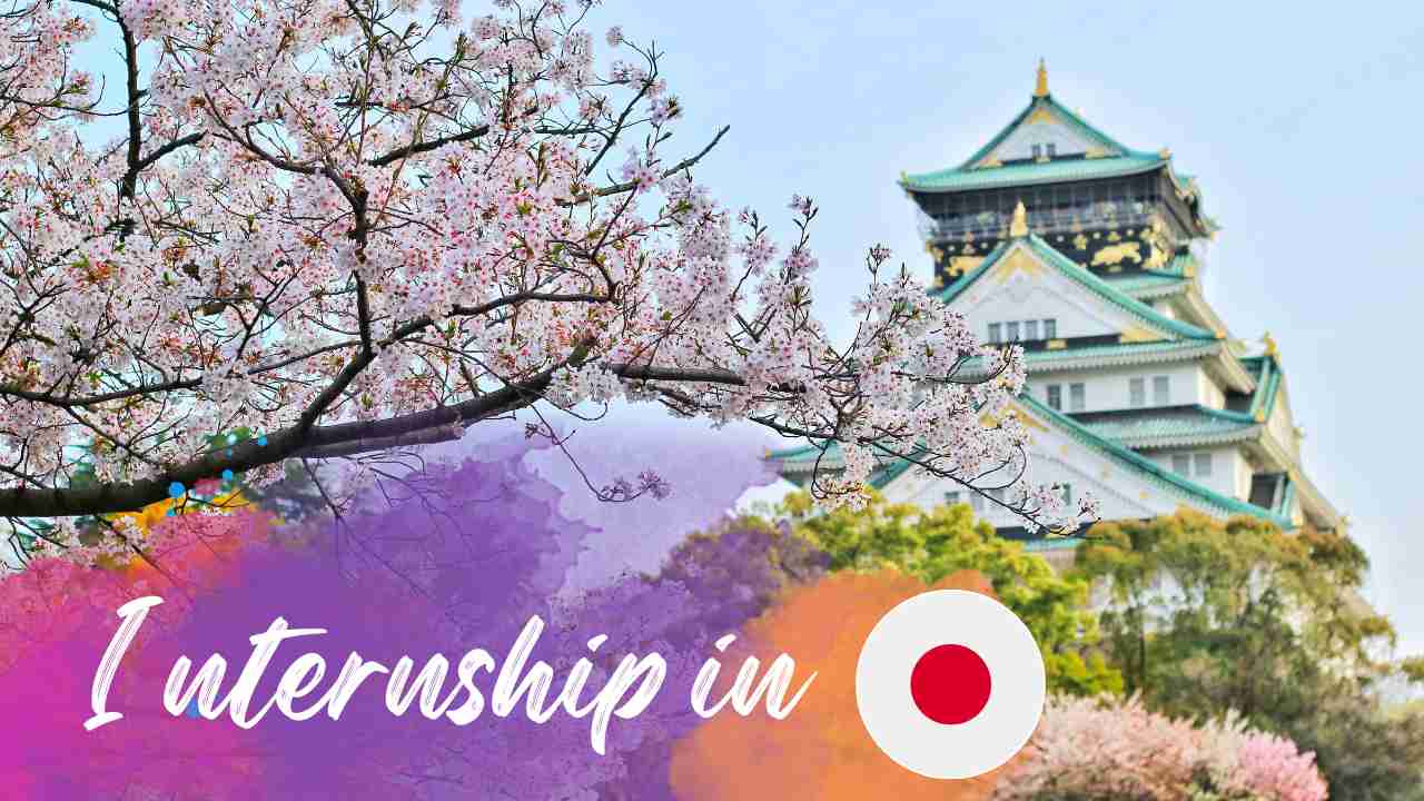 Internship in Japan | AIP International Program
