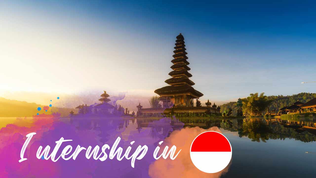 Internship in Indonesia | AIP International Program