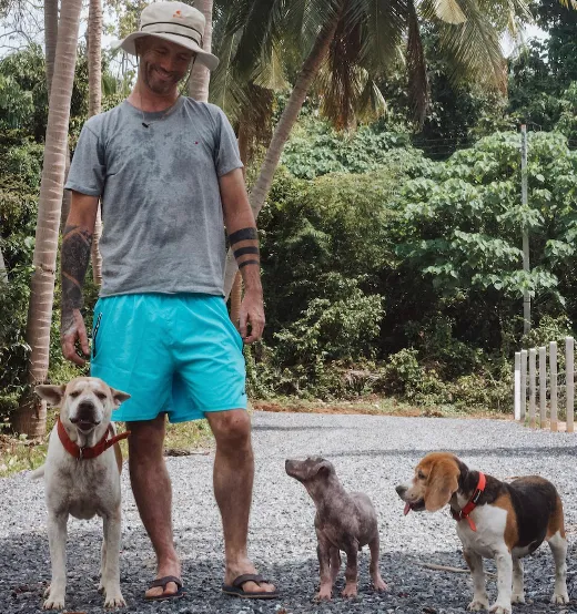 Our Work | Happy Doggo