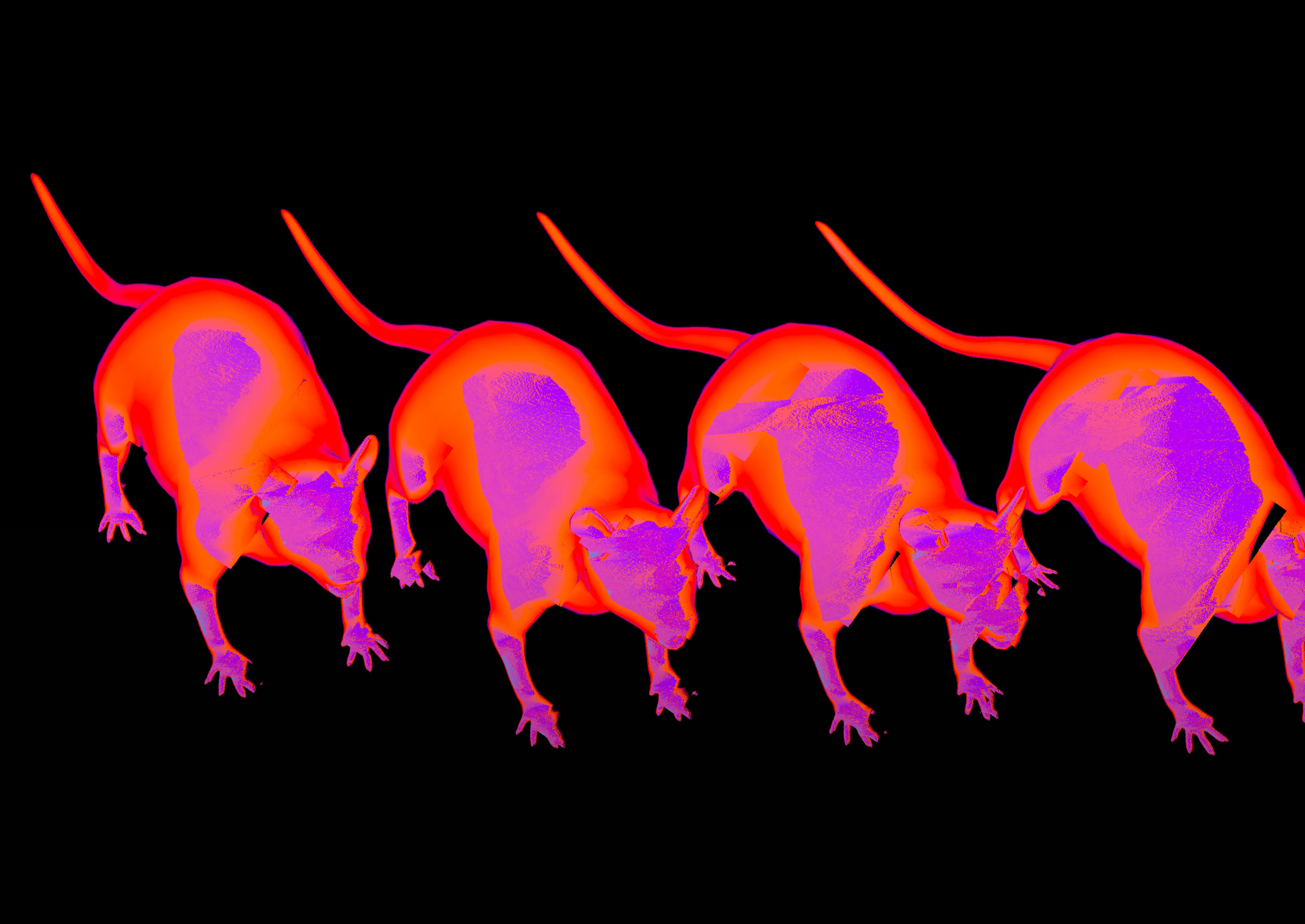 Research with AI: Animal Detection Using Machine Learning