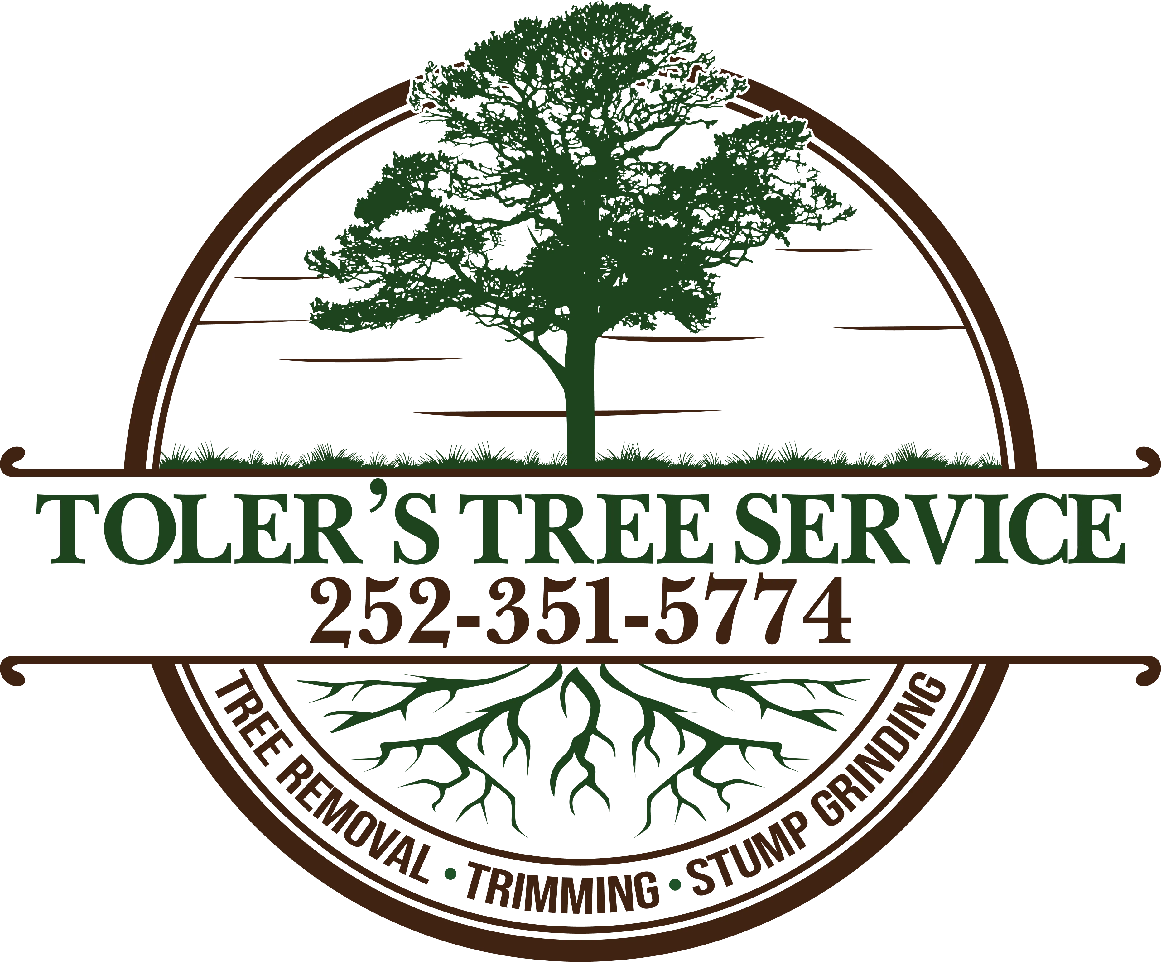 Tree Removal from Tree Service Greenville Professionals