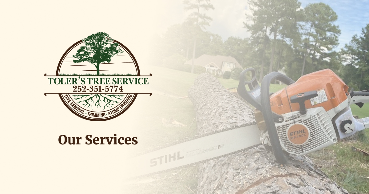 Tree Service Greenville NC Solutions | Toler's Tree Service