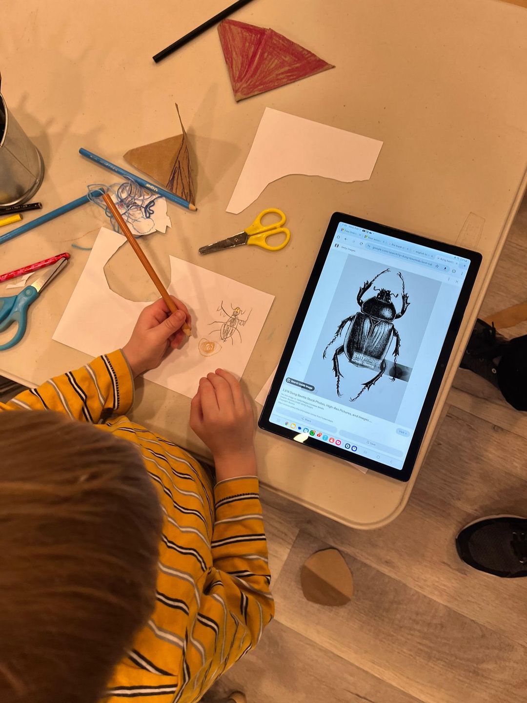 Buffalo Rubbing Stone - Mighty Learner Childcare