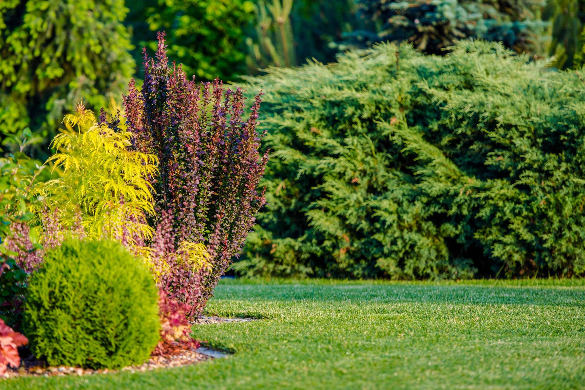 Illawarra Yard Maintenance - Lawn Mowing & Garden Services in Wollongong & Shellharbour