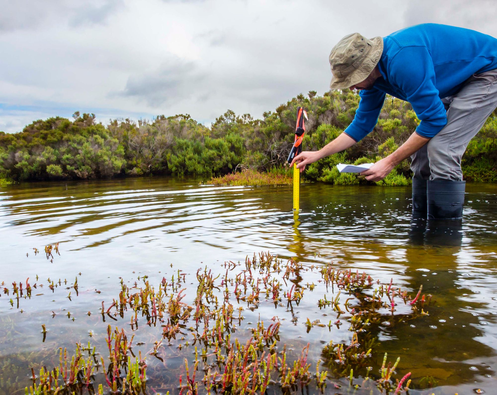 Exploratory Areas — Spark Climate Solutions
